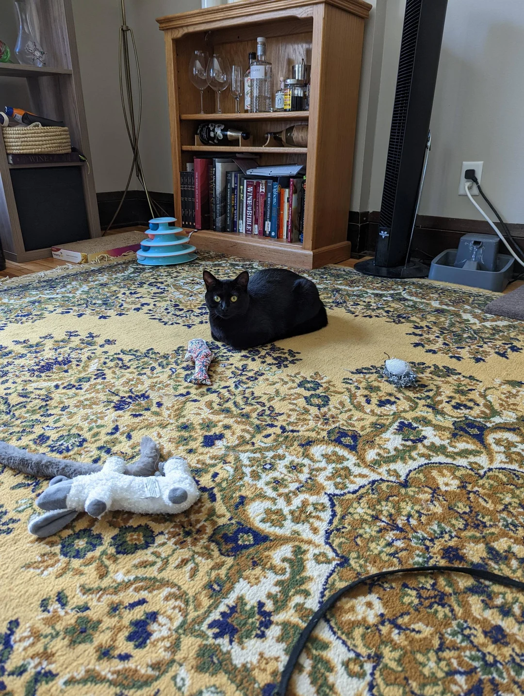 Annie has such good form | Scrolller