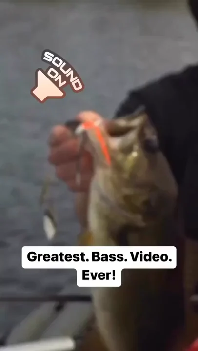 Possibly the best Bass video ever.. | Scrolller