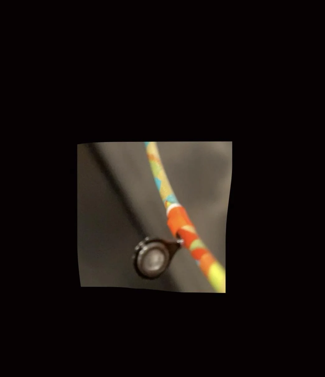 Why is there something covering one of the guides on my rod | Scrolller