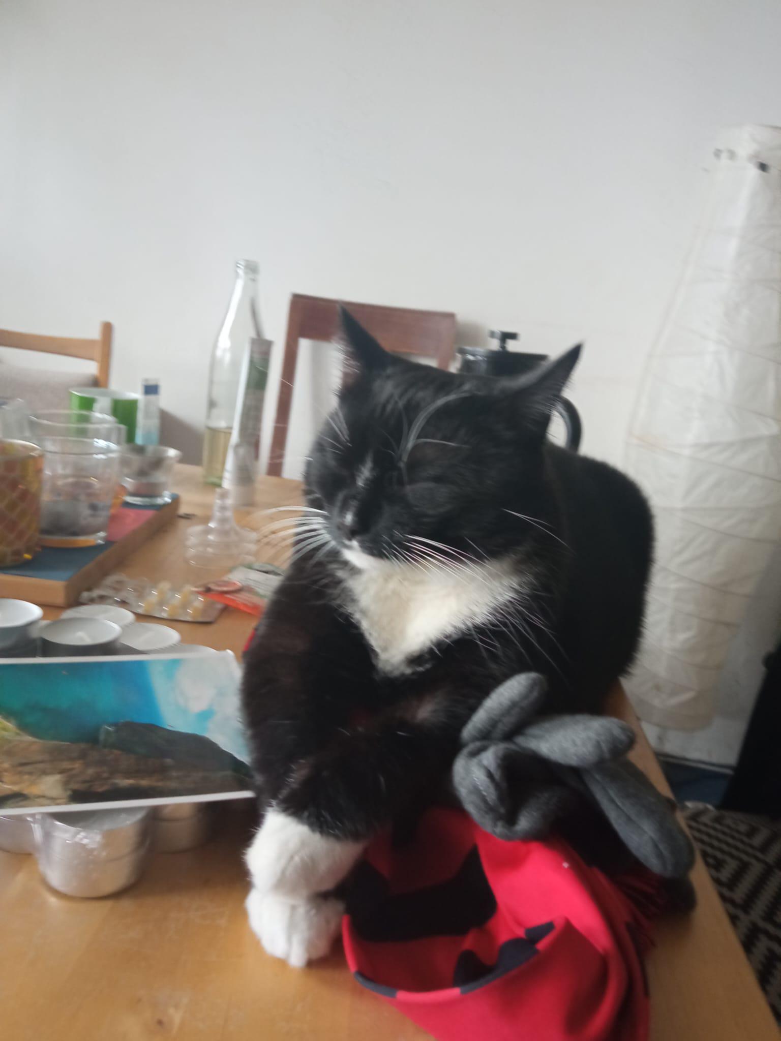 Lilli today | Scrolller