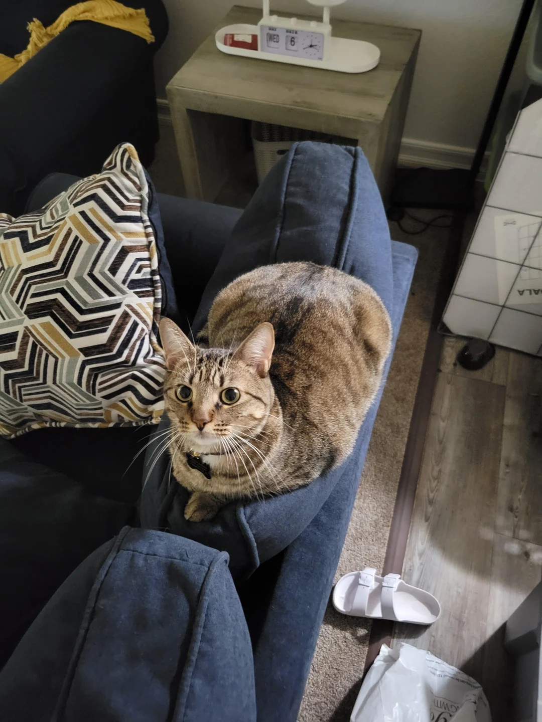 The (almost) perfect loaf. | Scrolller