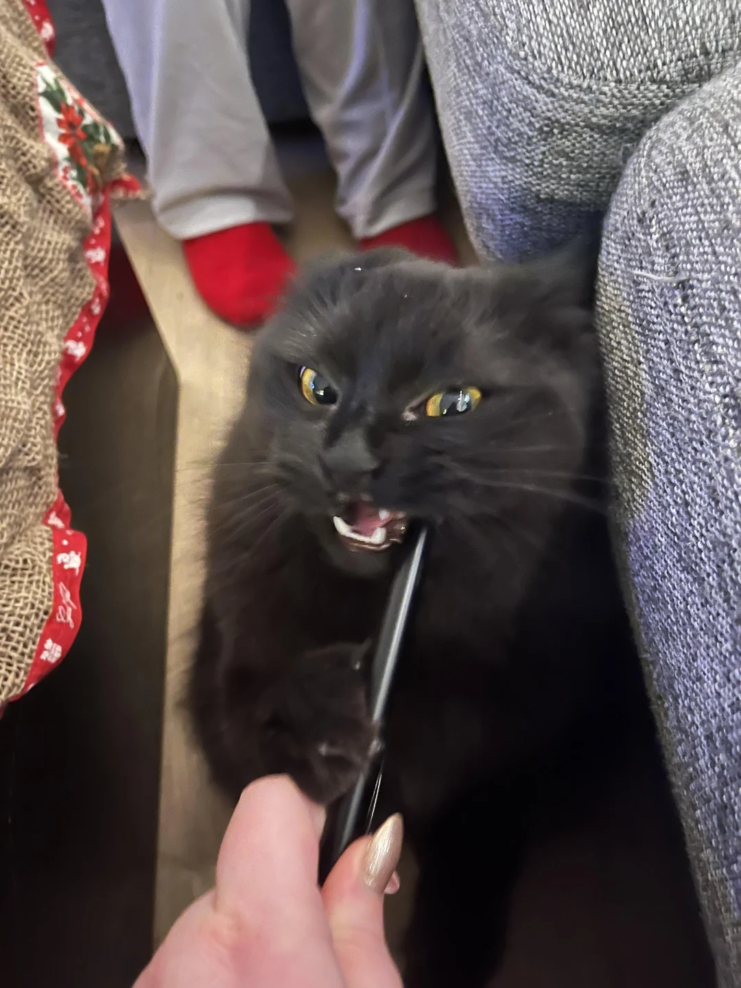 We like biting on pens 😂 | Scrolller