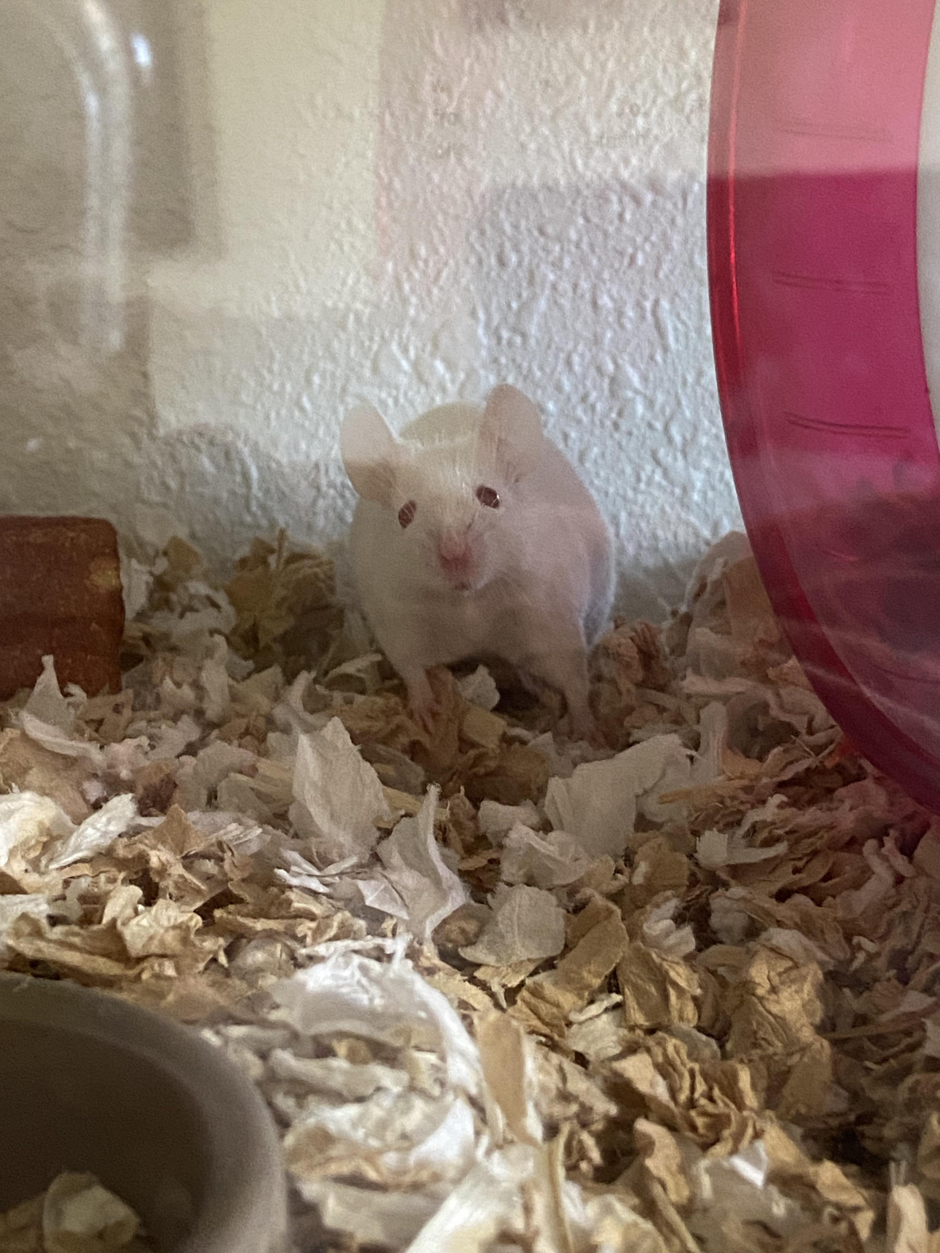 A curious boy | Scrolller