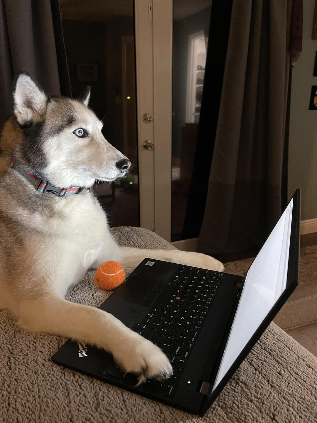 Working late | Scrolller