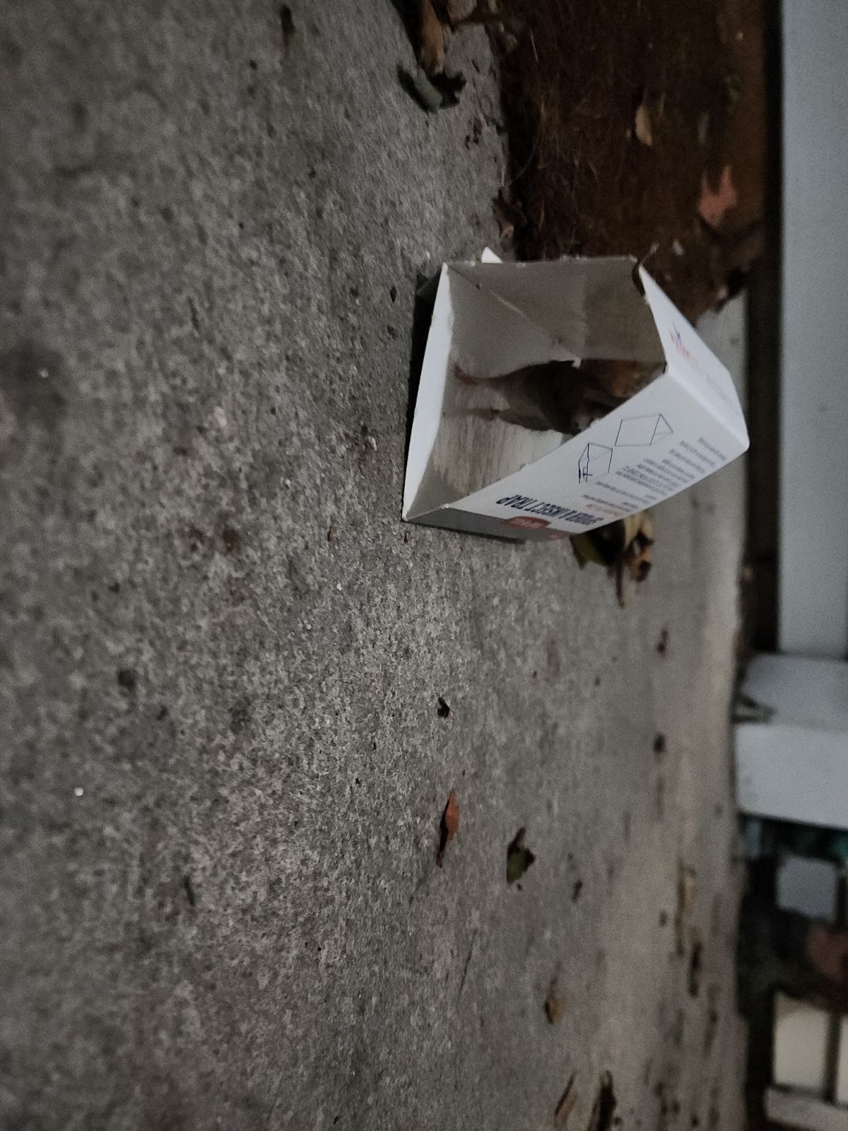 Saved mouse from trap | Scrolller