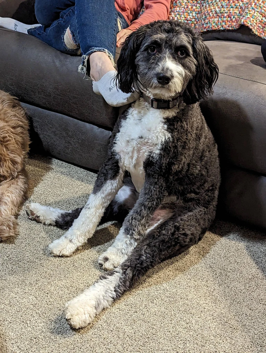 What is Annie contemplating? | Scrolller