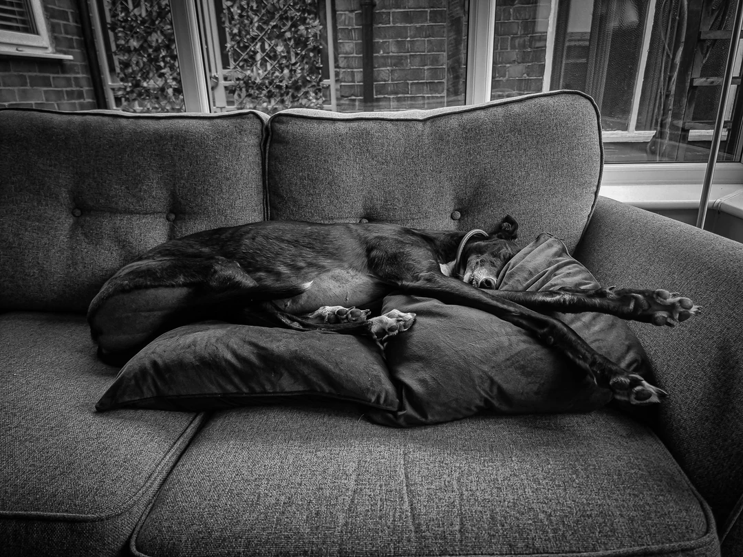 Mondays... | Scrolller