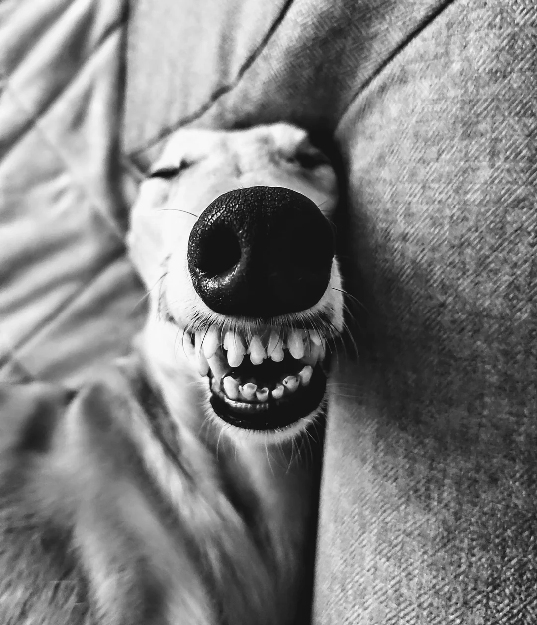 Lito nappy time 🥰😁 | Scrolller