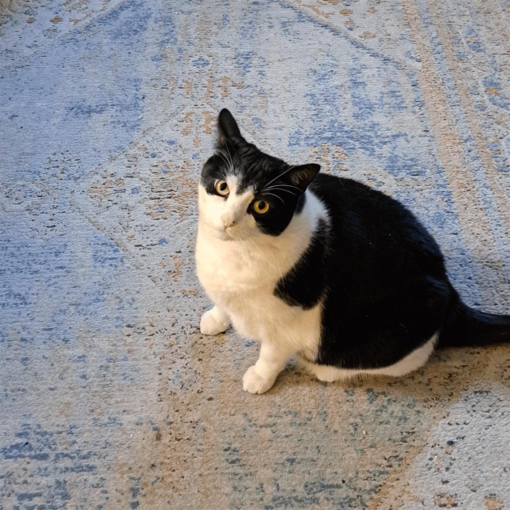 Meet Annabelle | Scrolller