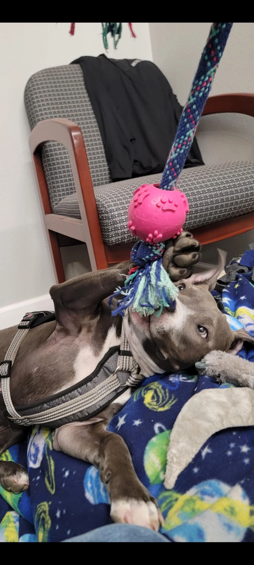 Rope derp. | Scrolller