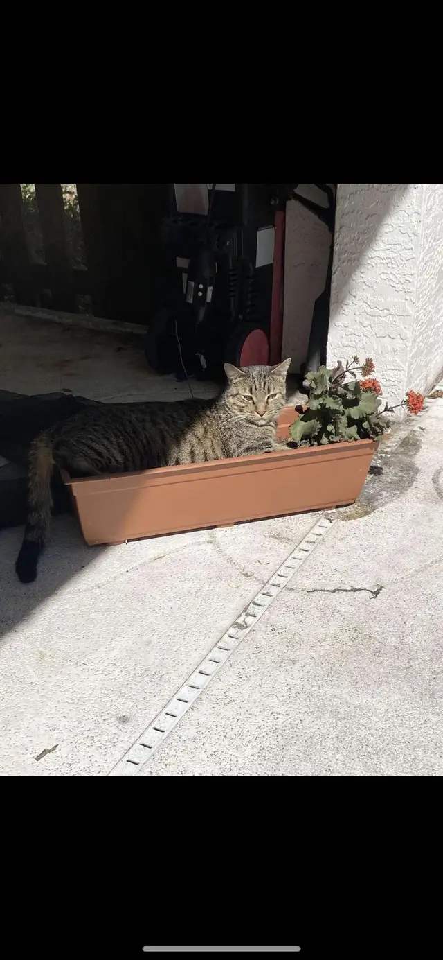 got these seeds from my brother look at how well he’s growing! | Scrolller