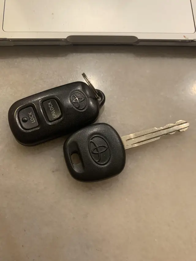 Are these keys reprogrammable? | Scrolller