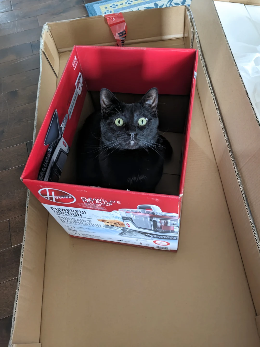 Double boxed | Scrolller