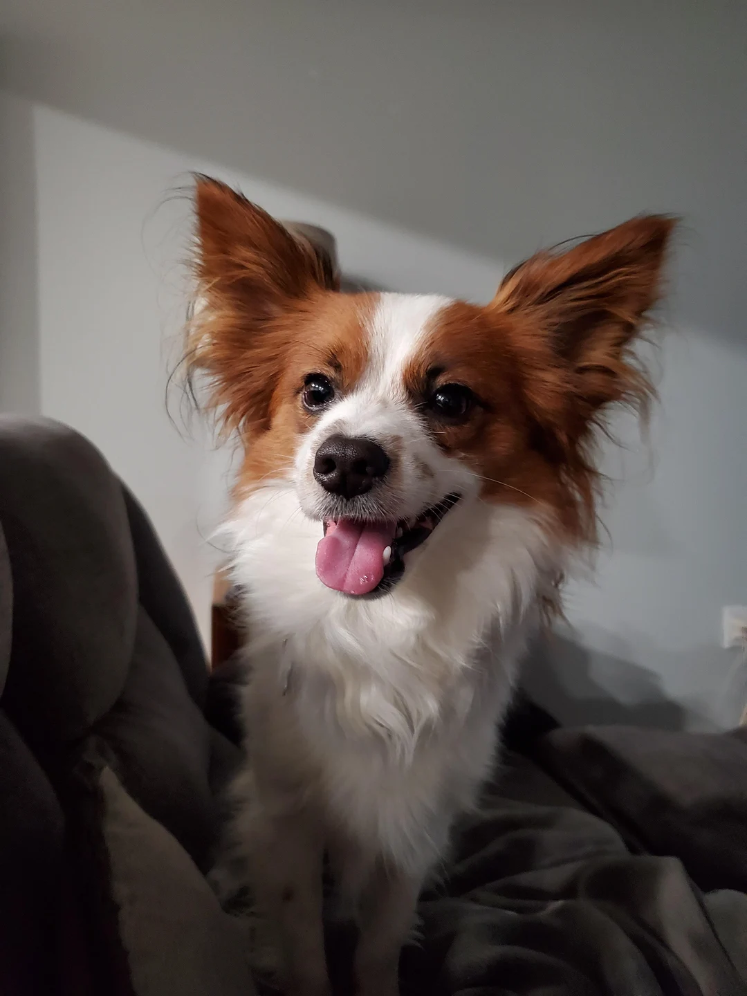 Smiley boy 😍 | Scrolller