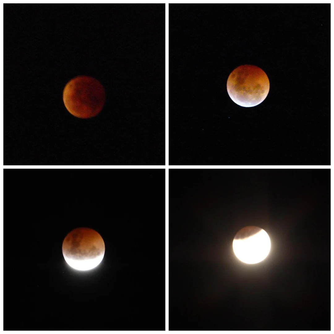 Here are some photos I took of the Lunar Eclipse last Tuesday night in South Australia. | Scrolller