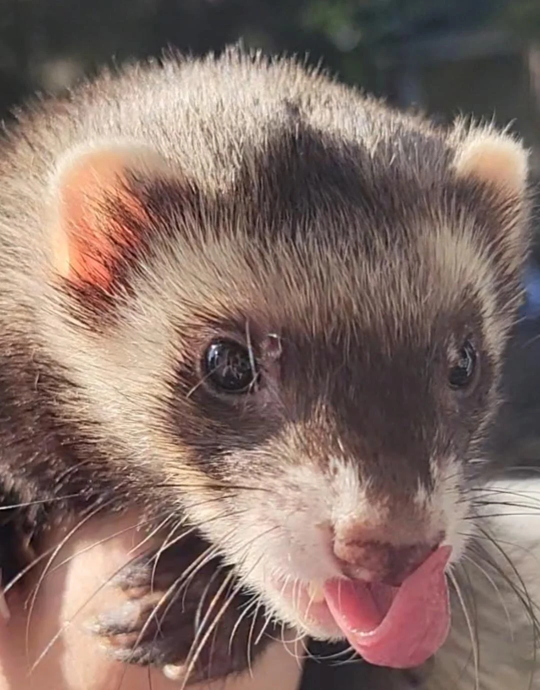 Just one of my weirdos | Scrolller