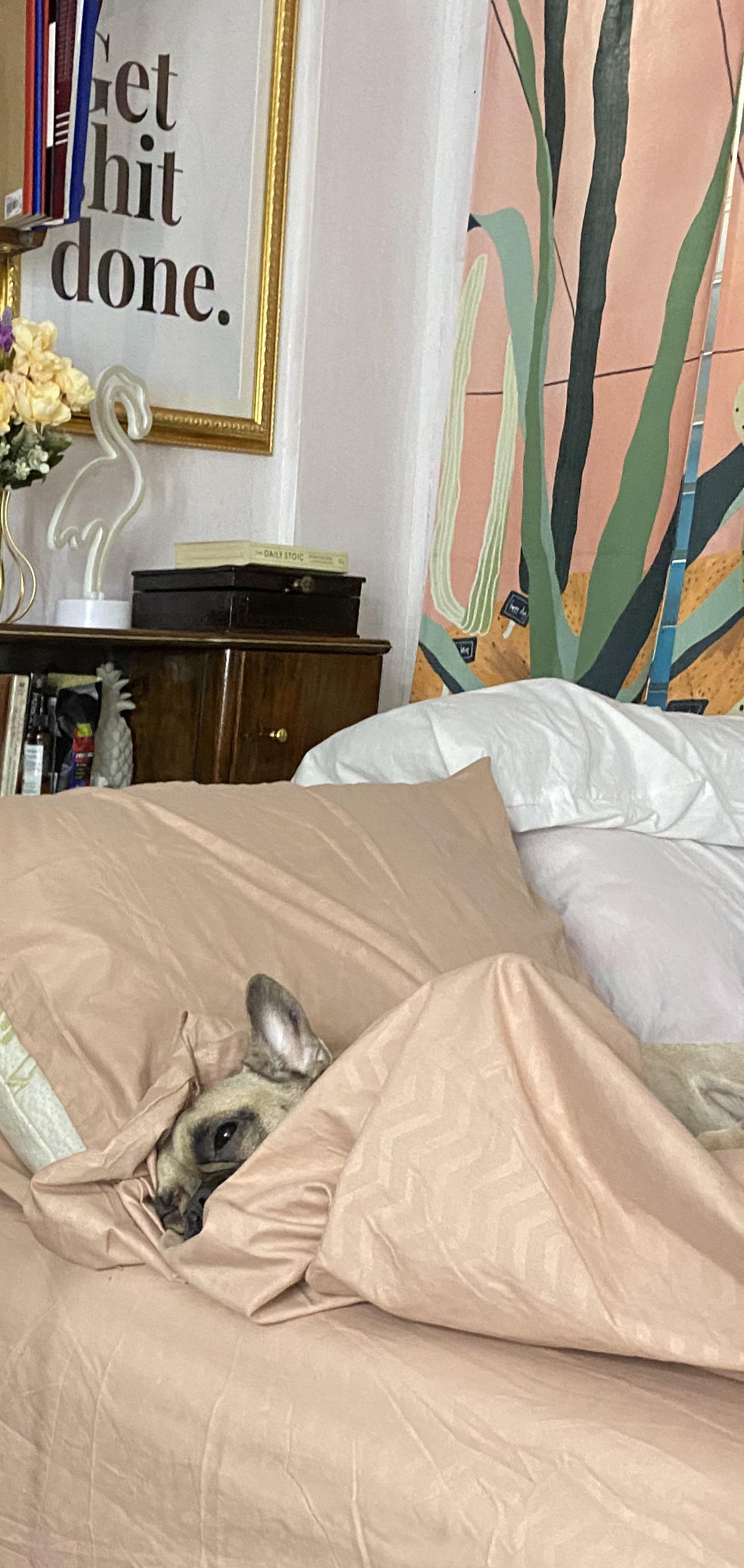 Productivity - 💯 | Scrolller