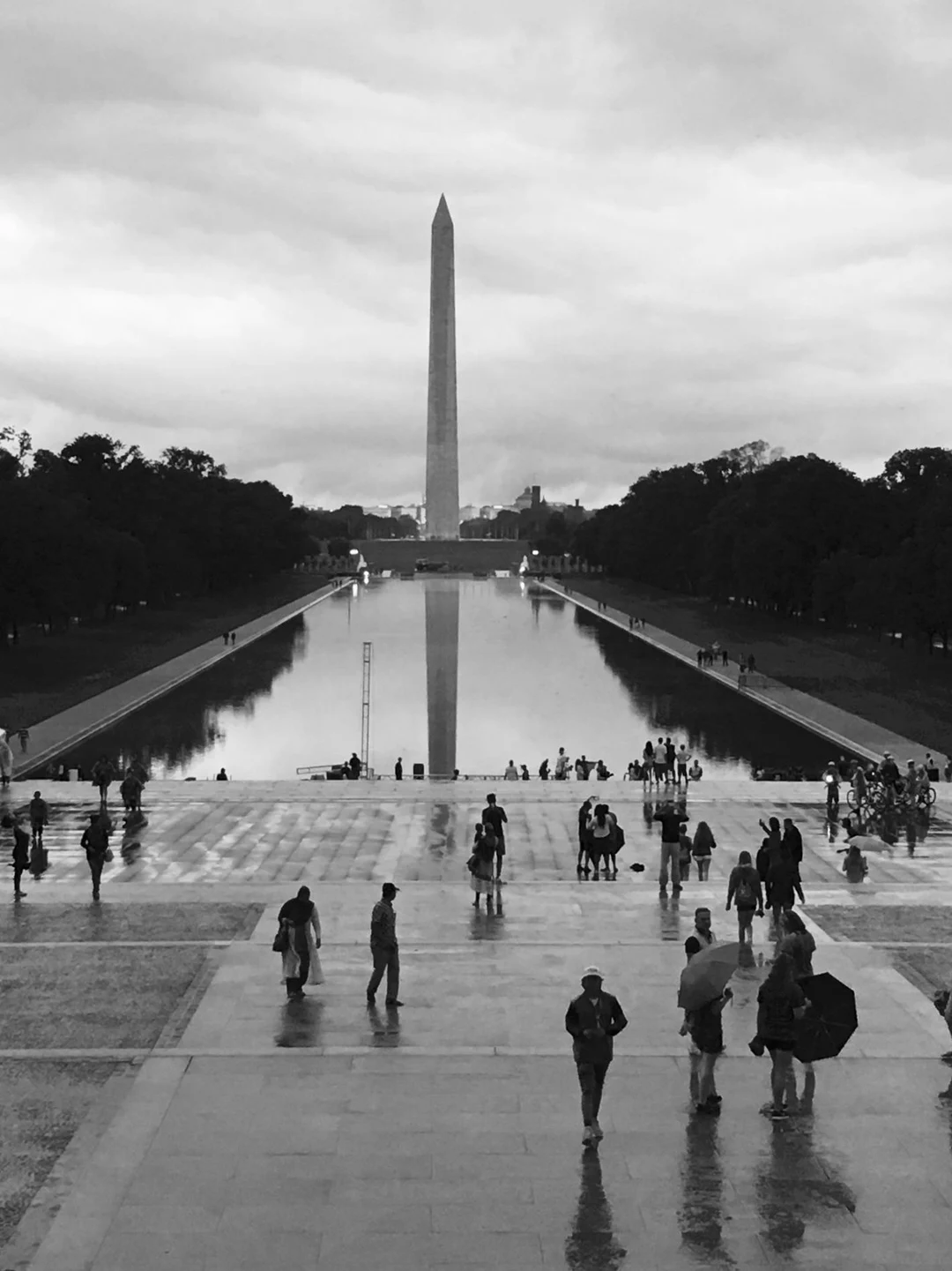 Washington D.C. | Scrolller