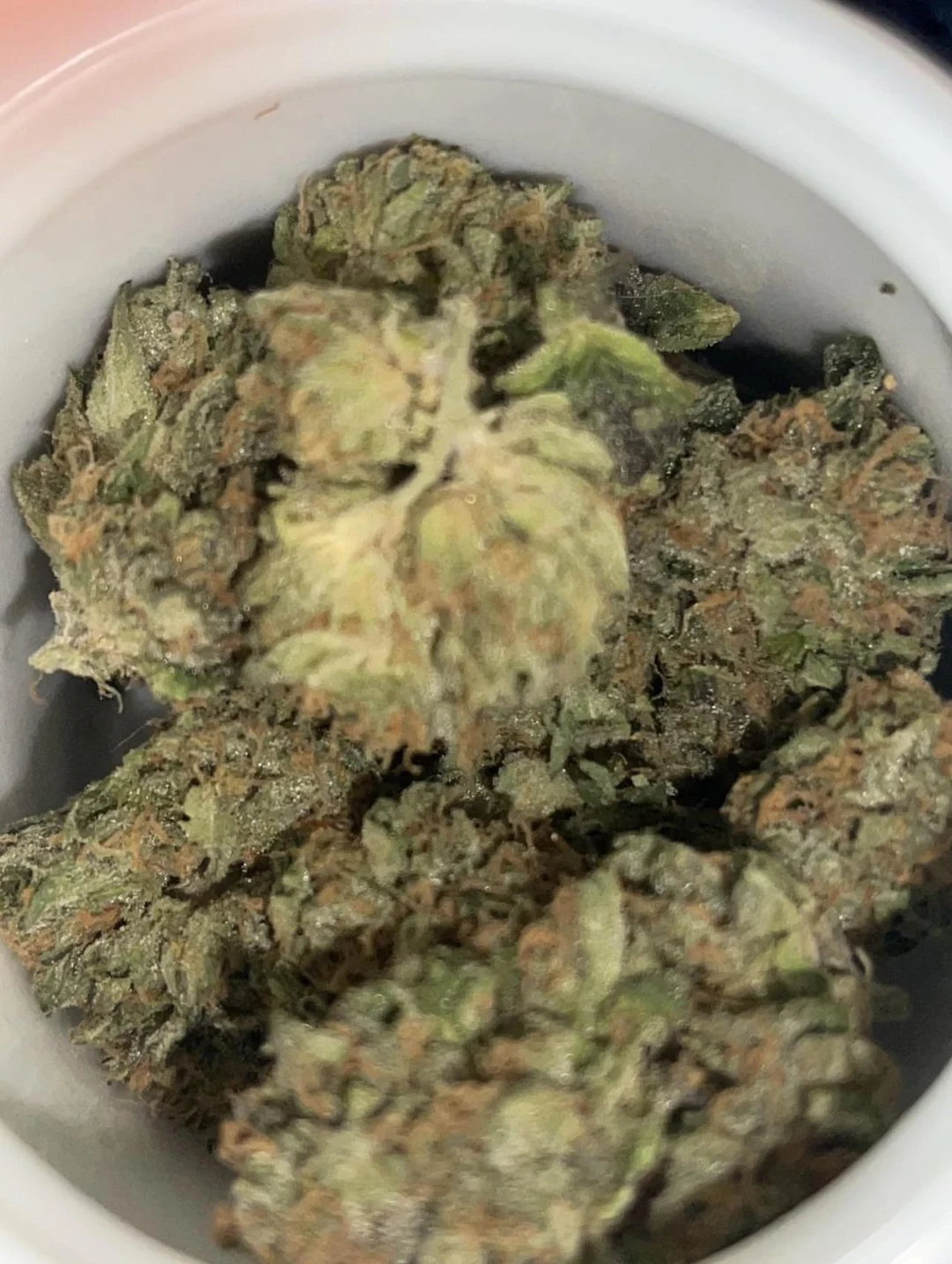 Do you think you will ever “quit” weed? | Scrolller