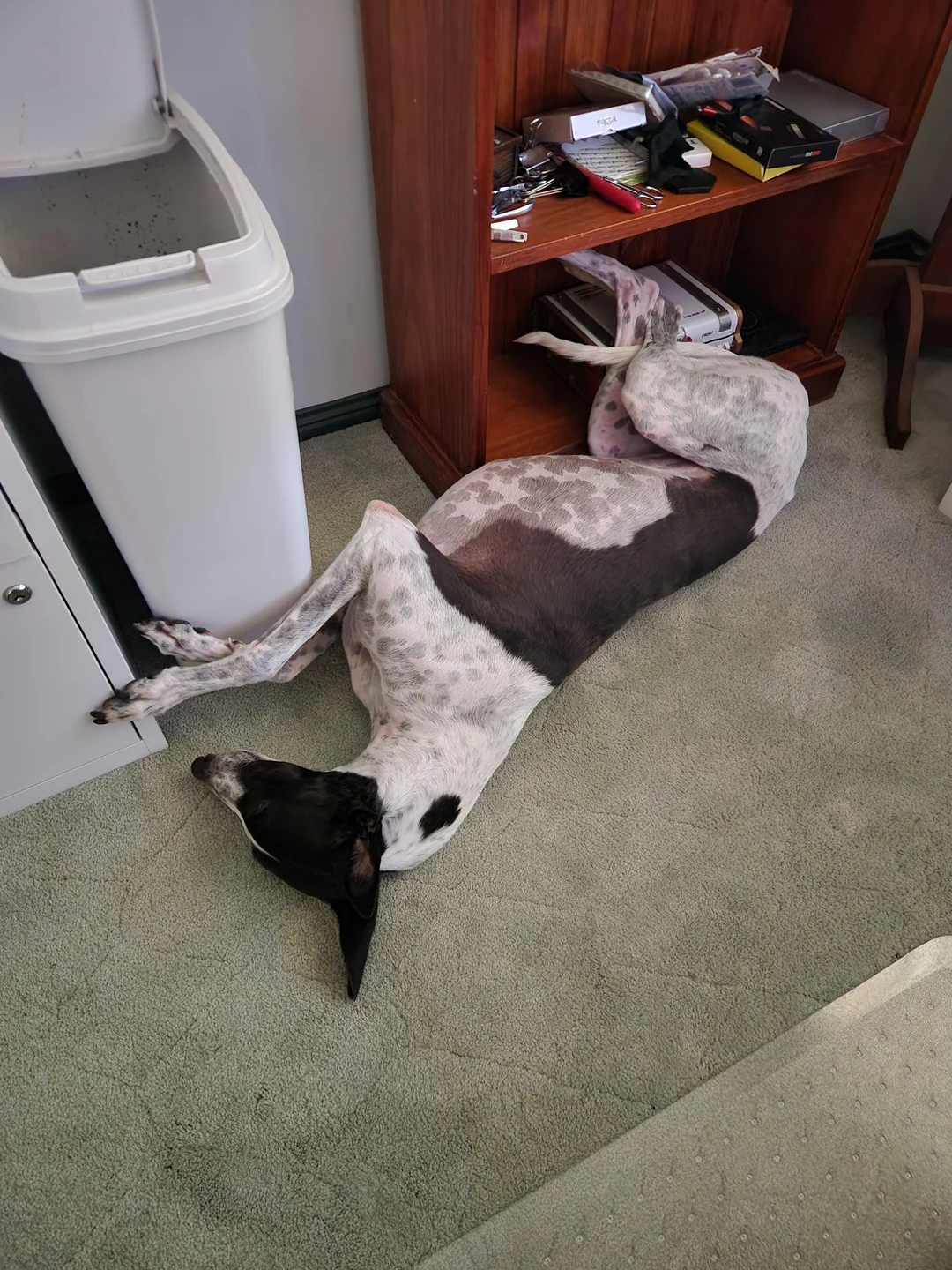 Apparently this is comfortable. | Scrolller