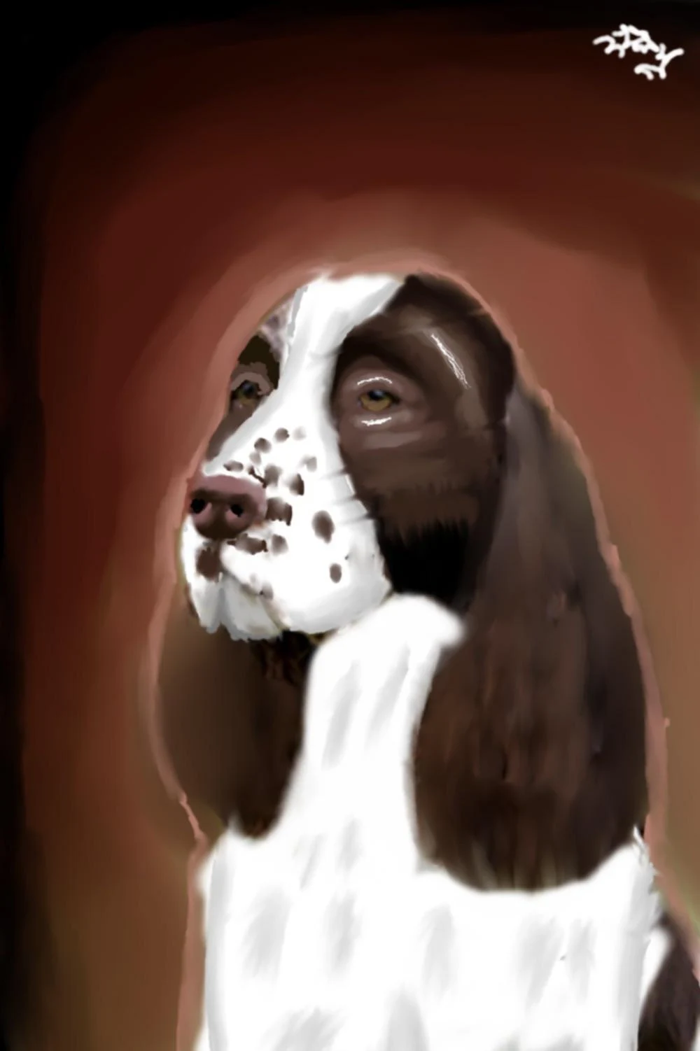 springer spaniel,me,digital,2023 | Scrolller