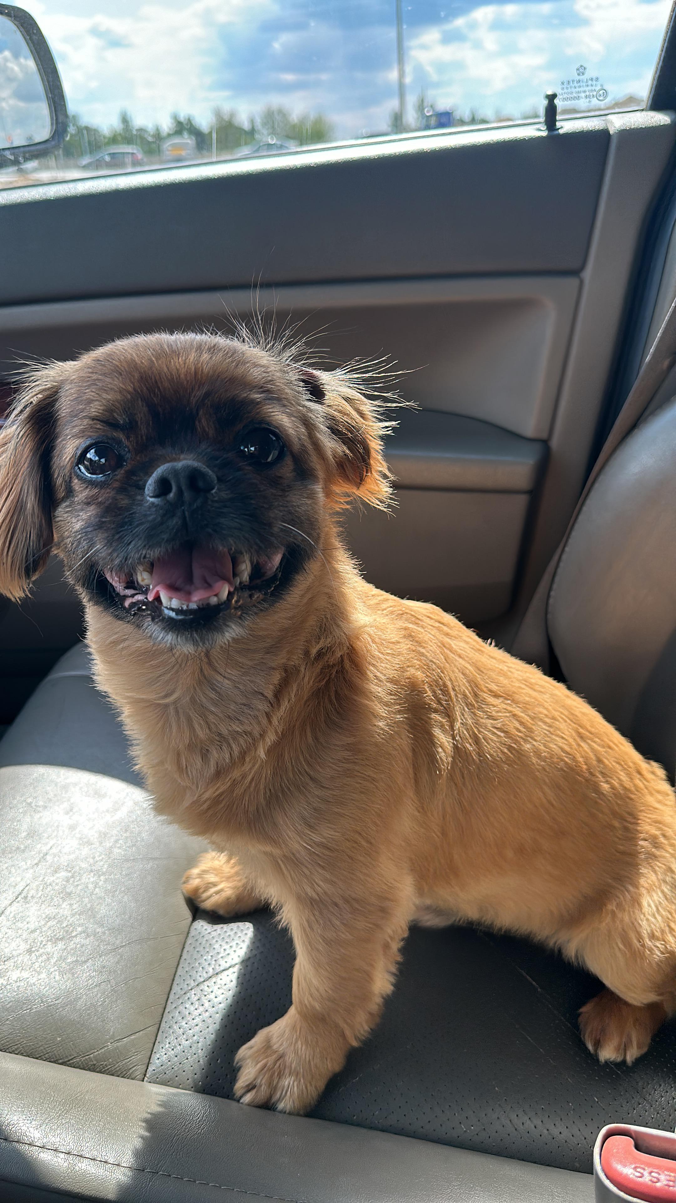 Travel 😇 | Scrolller