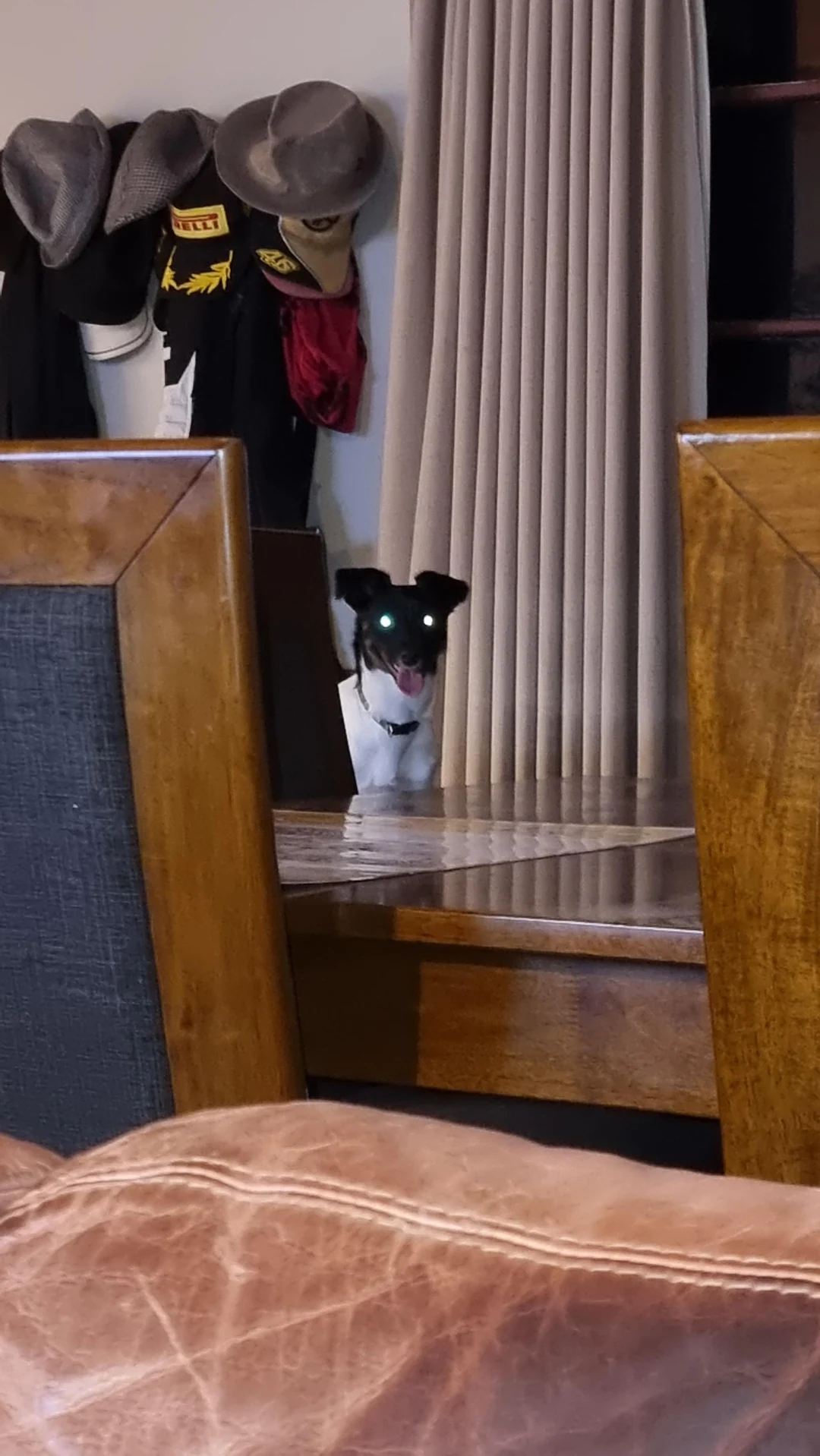 She gets a look in her eye when she can't reach the toy on the table ...