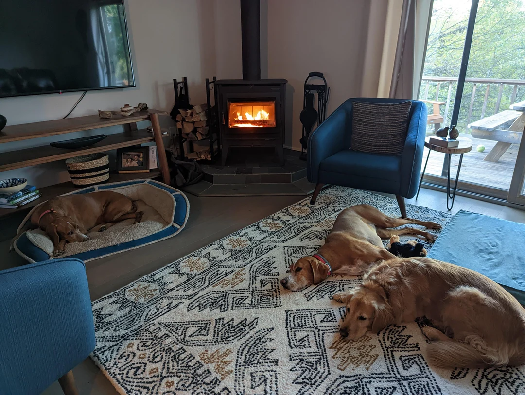 fire+sunrise+snoozing dogs = very cozy. | Scrolller