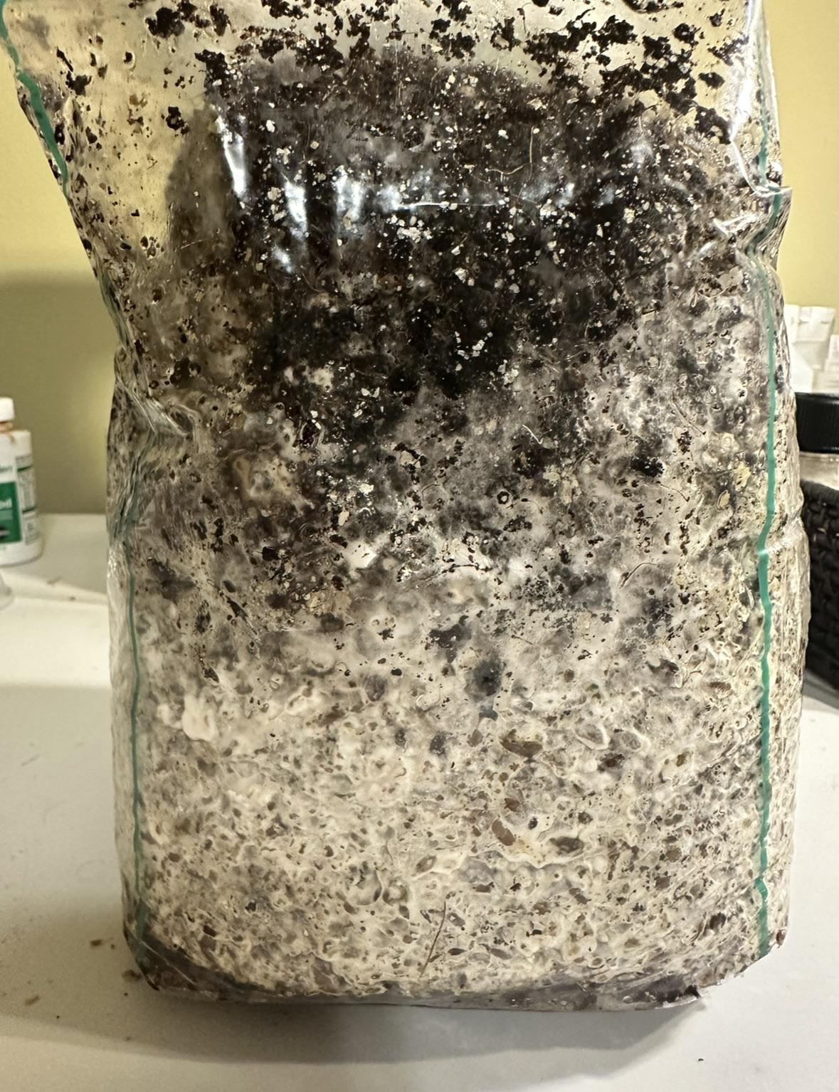 Beginner: Is this ready to pin? | Scrolller