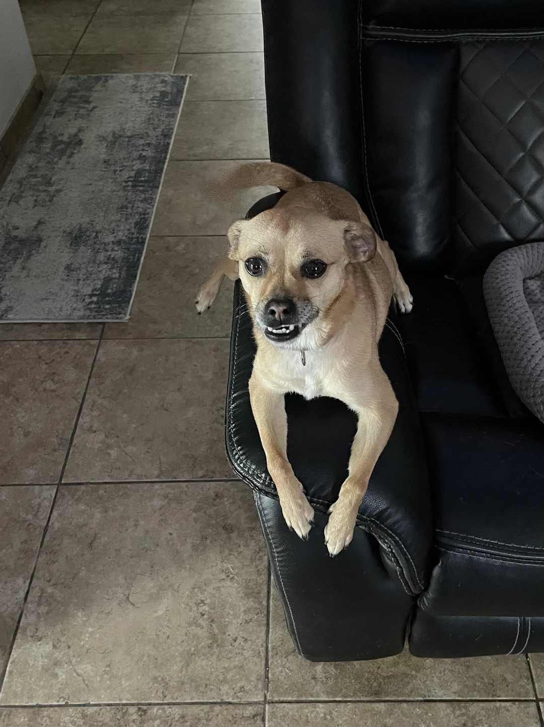 The way she sits on the couch | Scrolller