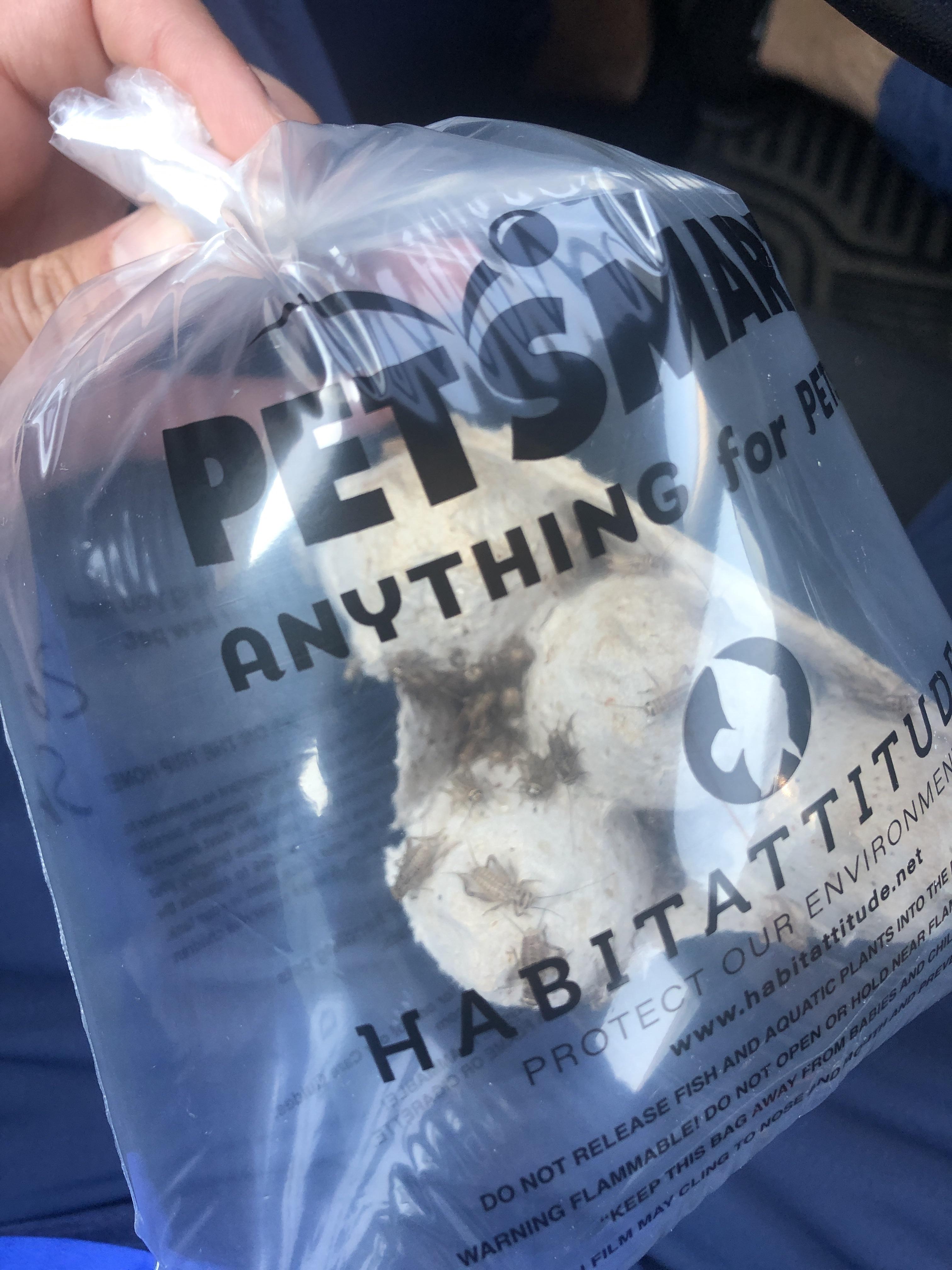 The weirdest order I’ve ever gotton so far | Scrolller