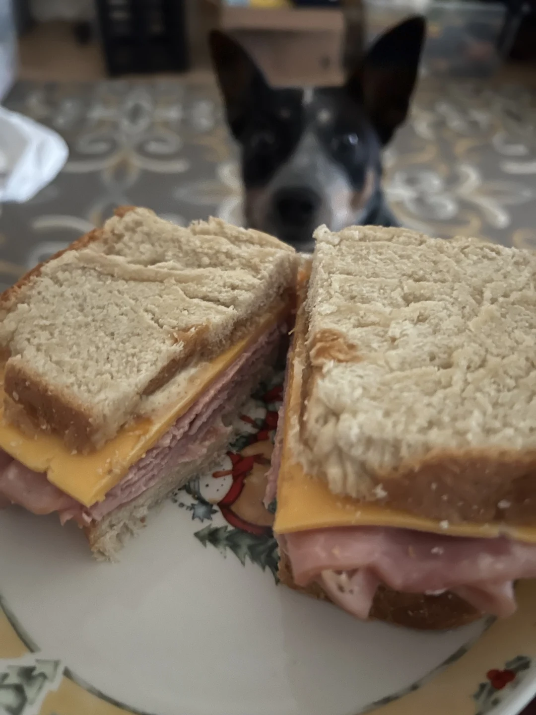 Partner made bread for the first time, so I made a ham and cheese. | Scrolller