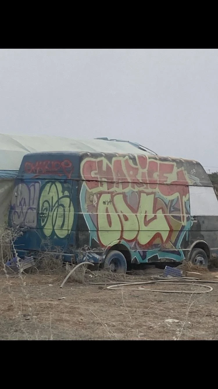 Graff in cypress | Scrolller