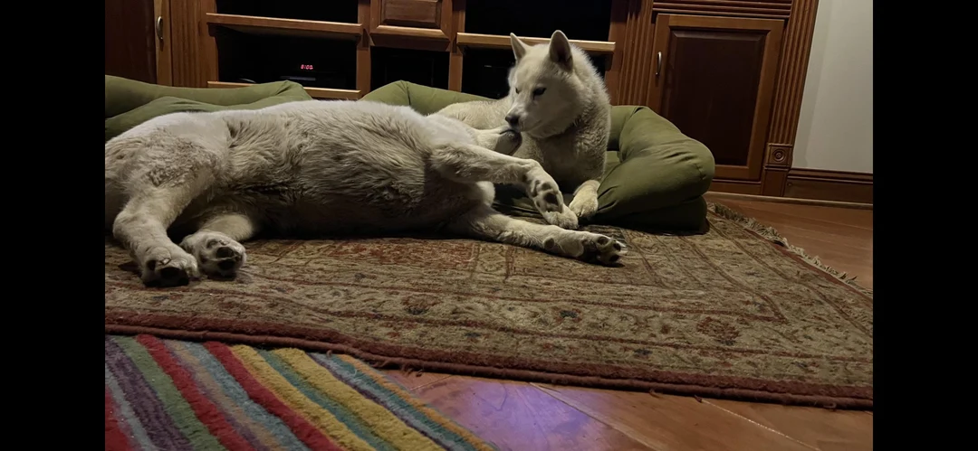 Sibling kiss | Scrolller