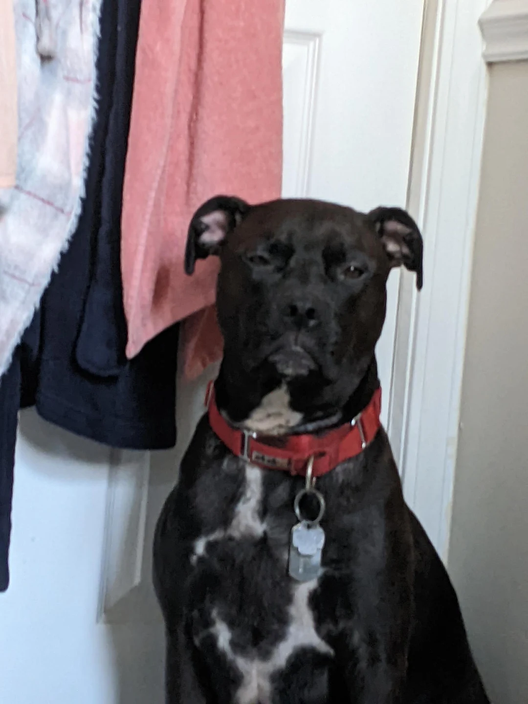 The face of judgement | Scrolller