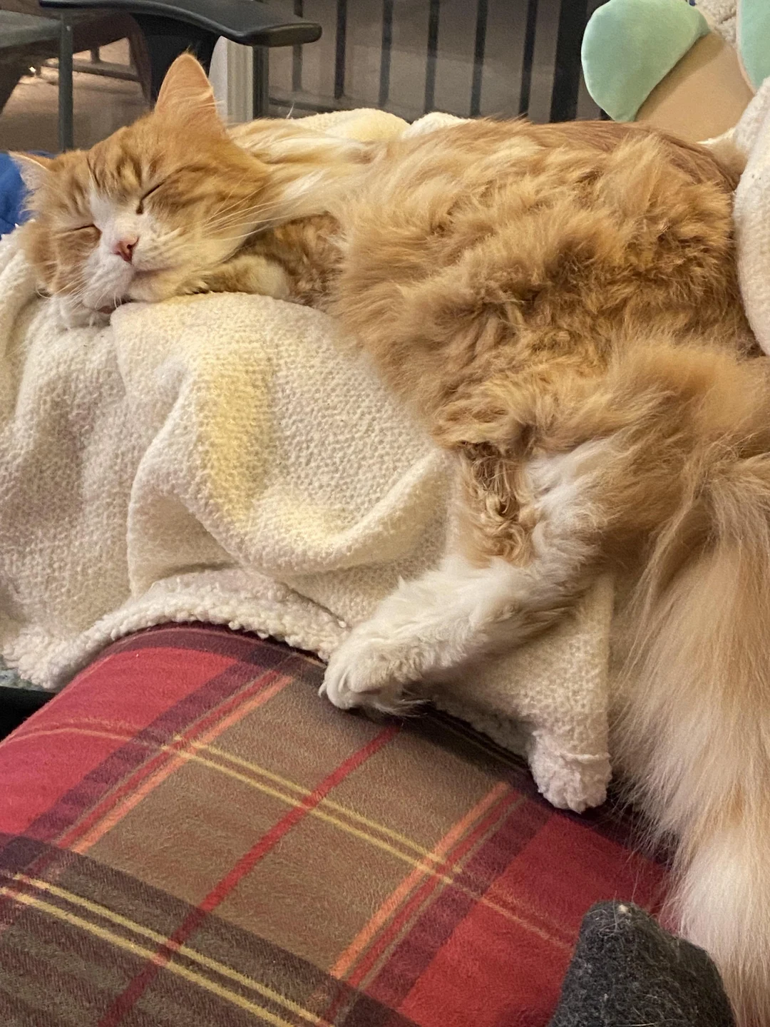 Maximum comfort | Scrolller