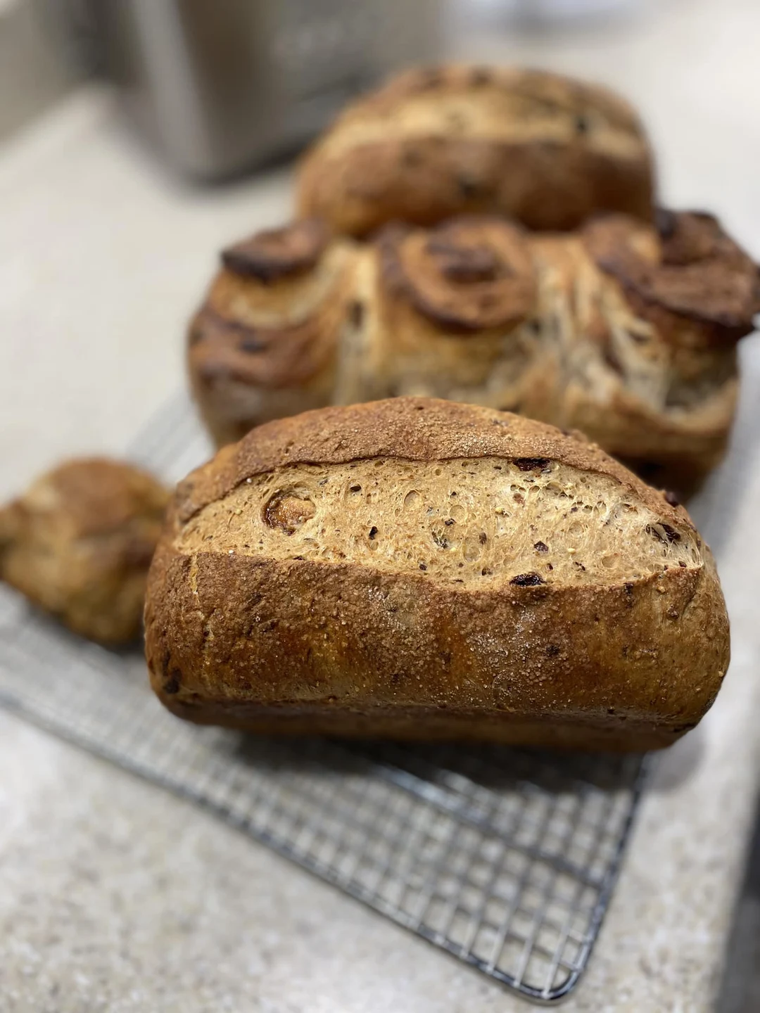 multigrain whole wheat cinnamon raisin today | Scrolller
