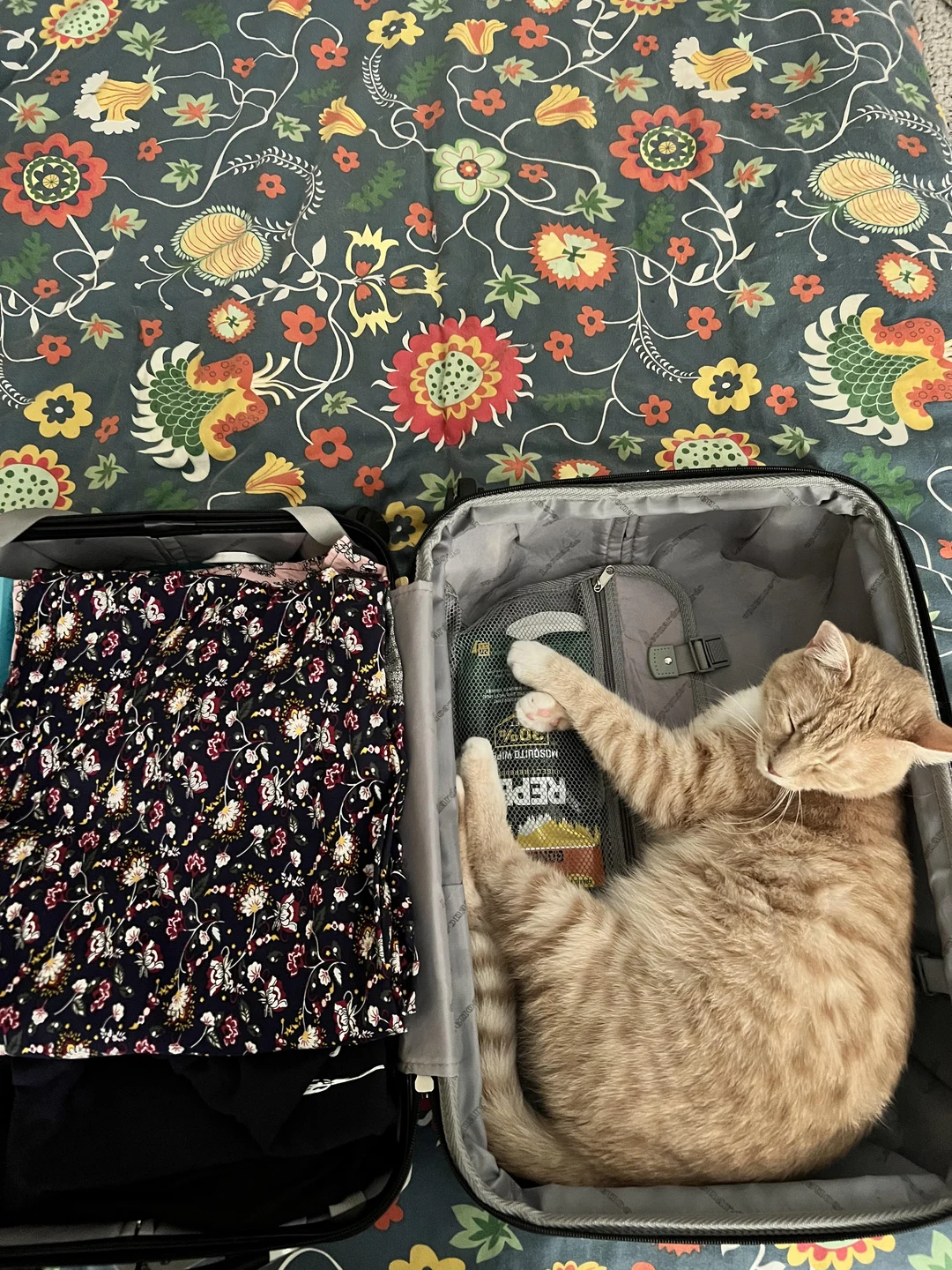 Totally working | Scrolller