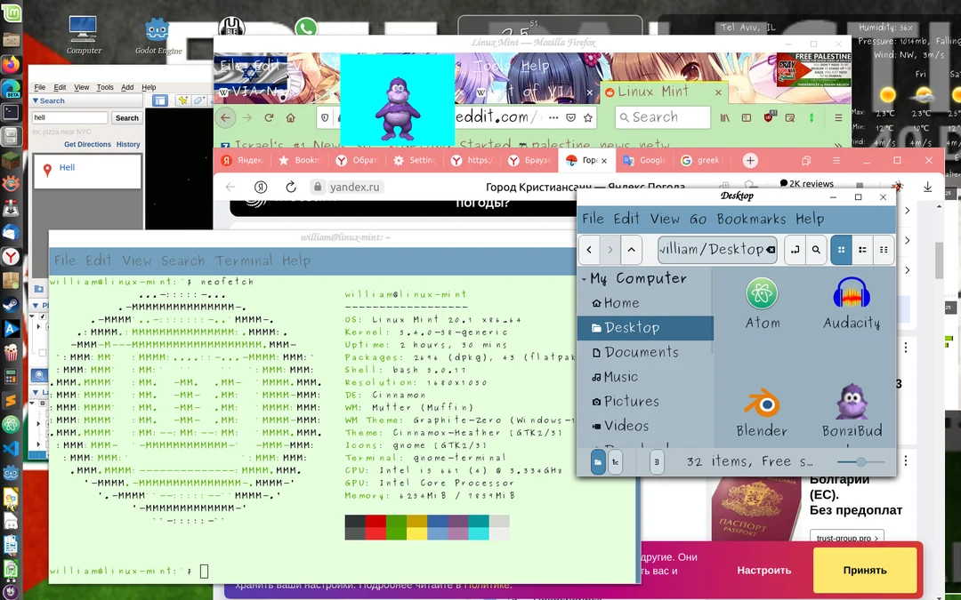 [cinnamon] My first rice | Scrolller