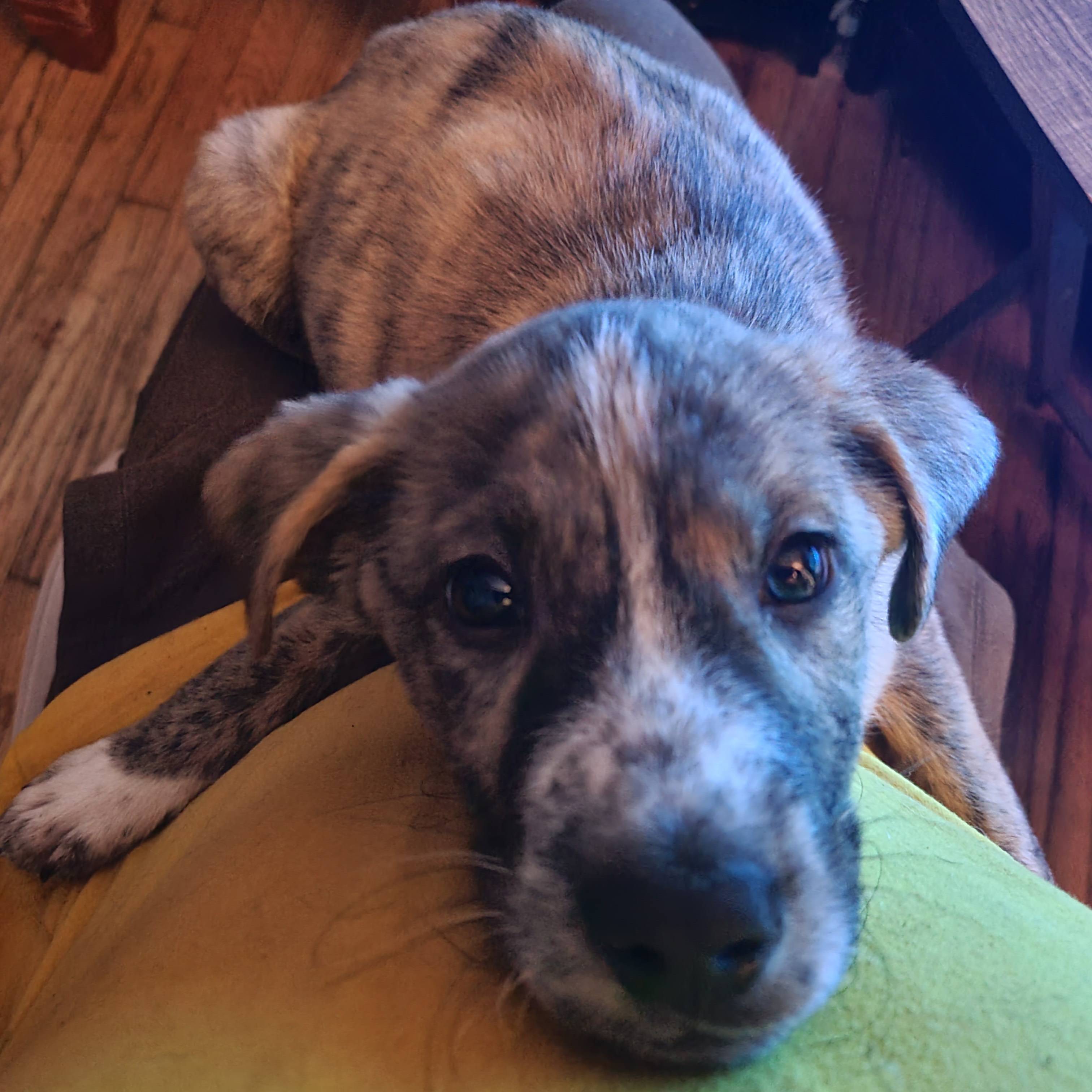 Meet Male Sofy. | Scrolller