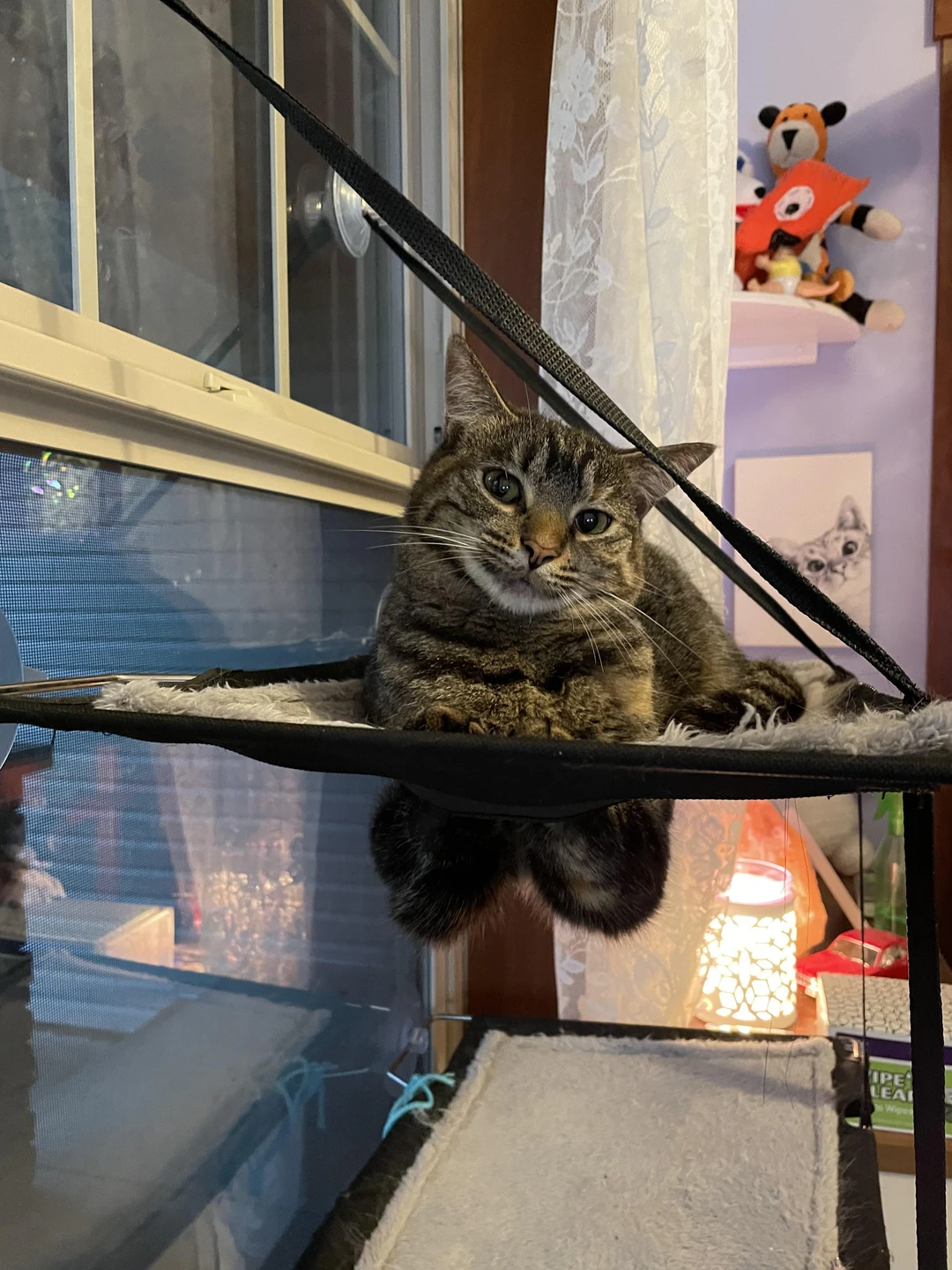 It’s like she posed | Scrolller