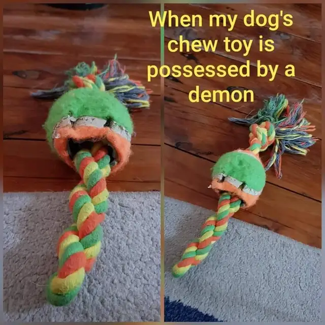 Rope toy fights back | Scrolller