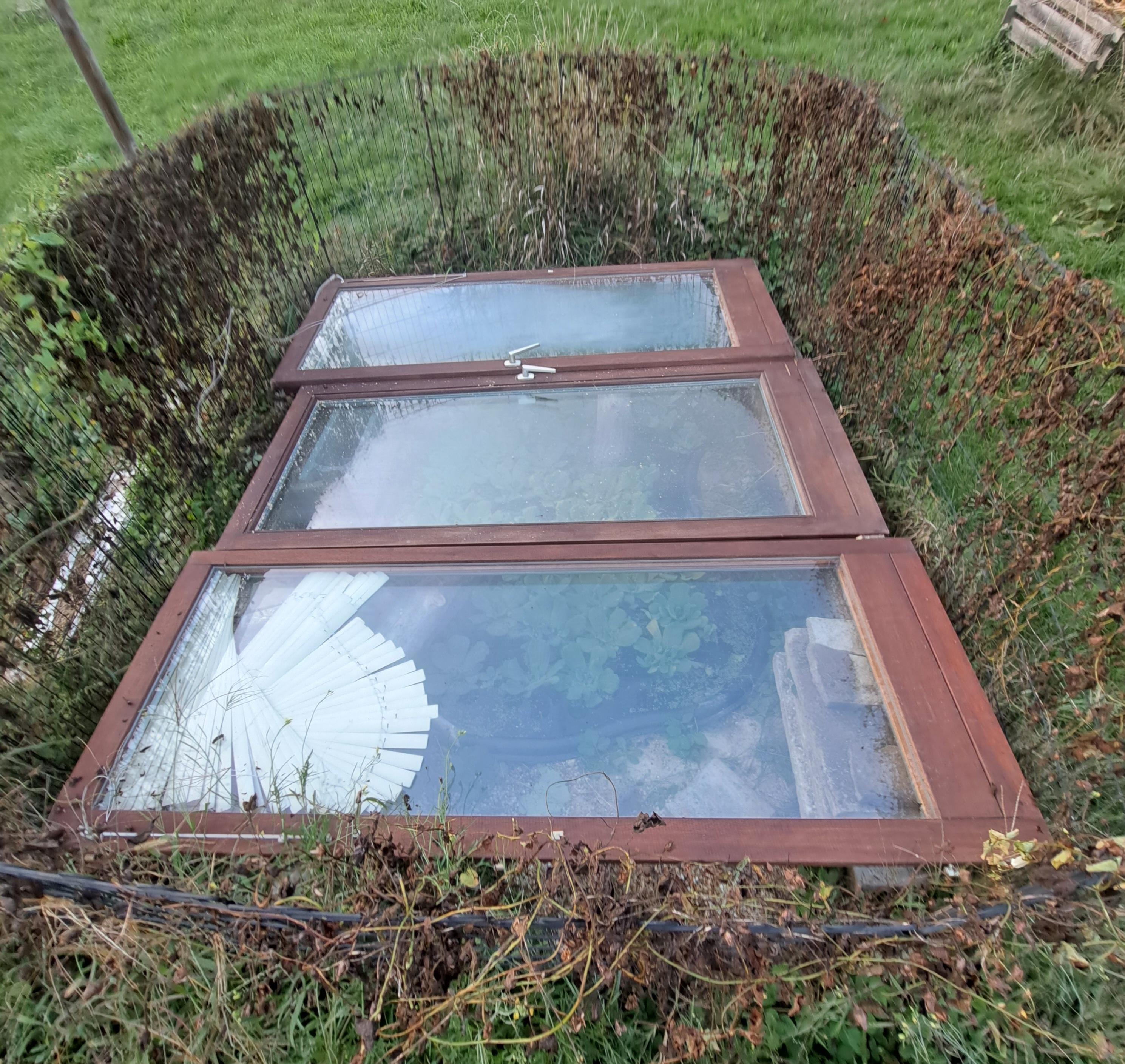 Central europe: preparing the turtle pond for fall | Scrolller