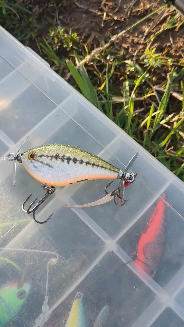 Tried Google image, what is this lure and how do I use it... | Scrolller