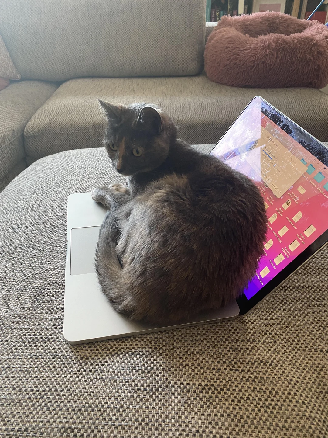 Nothing like having a workmate | Scrolller