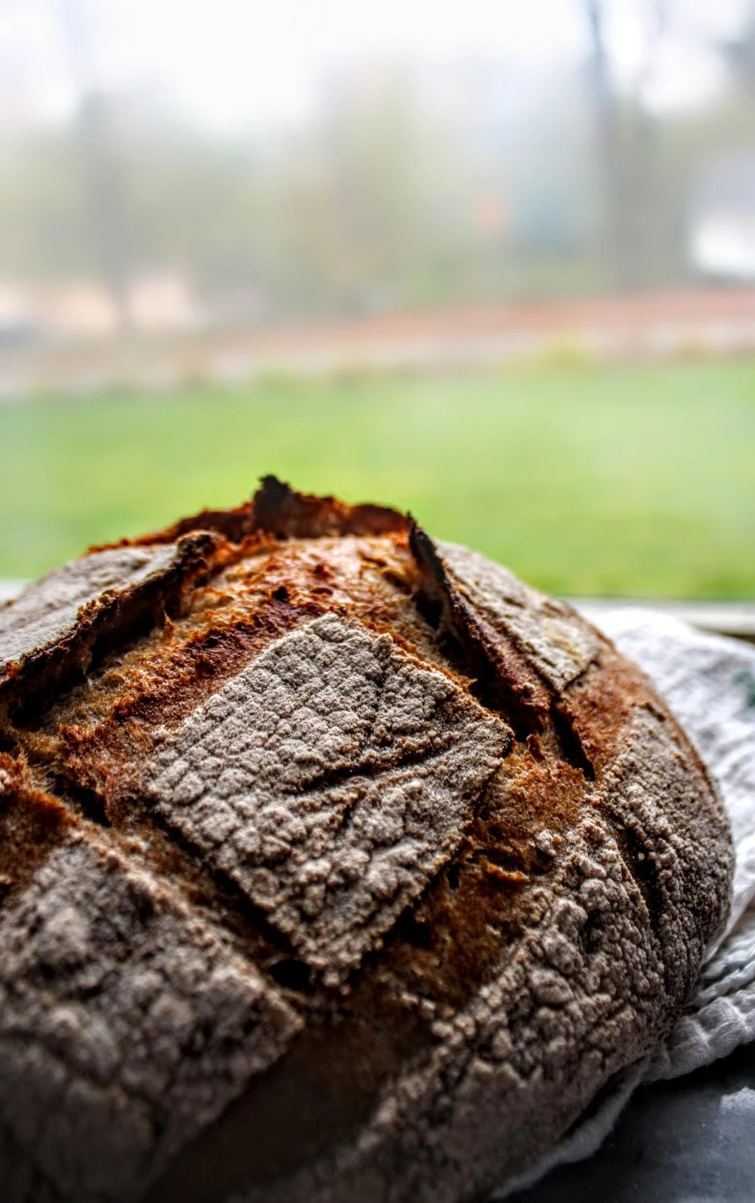 [Homemade] sourdough rye | Scrolller