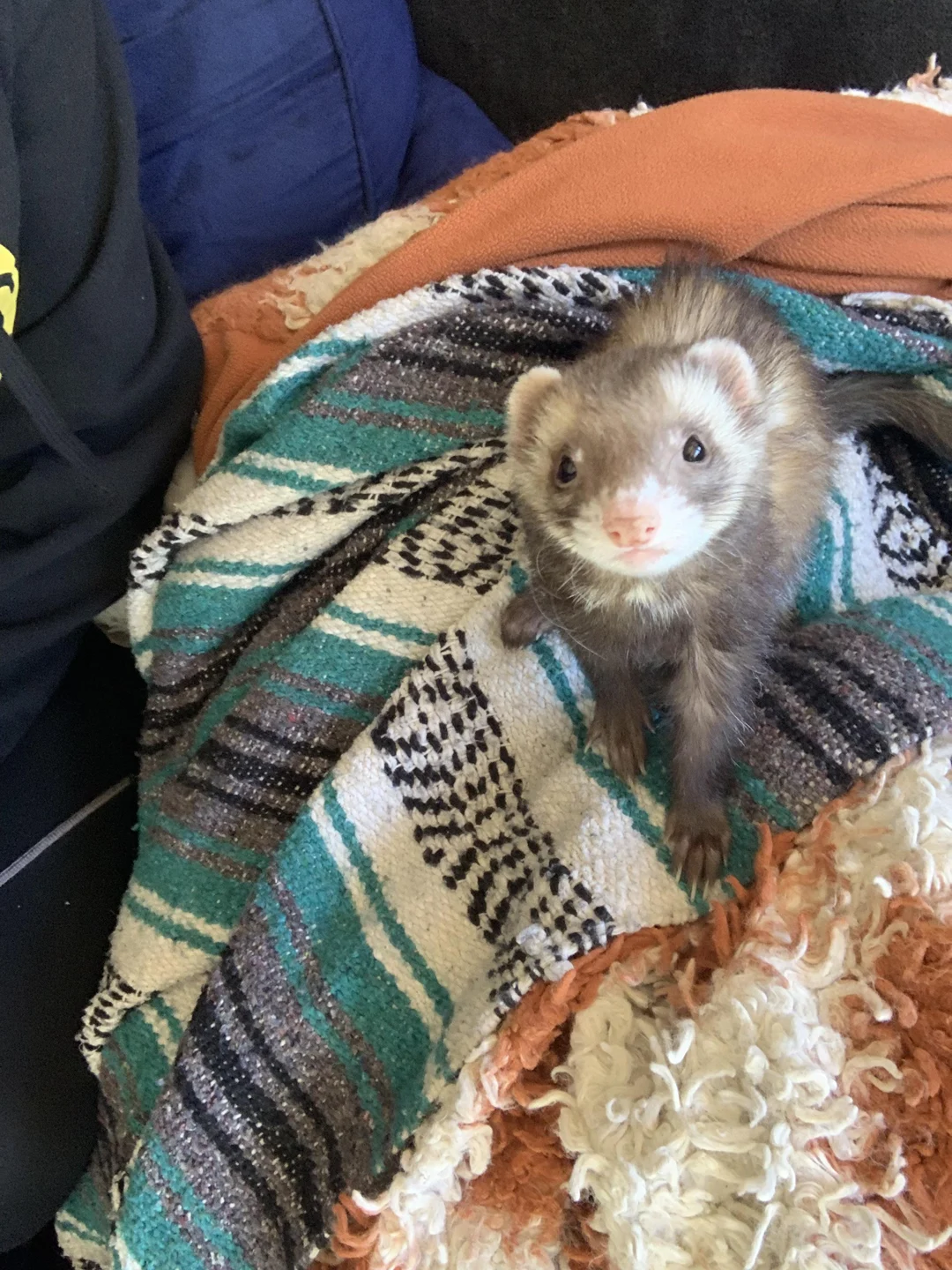 My little peanut | Scrolller