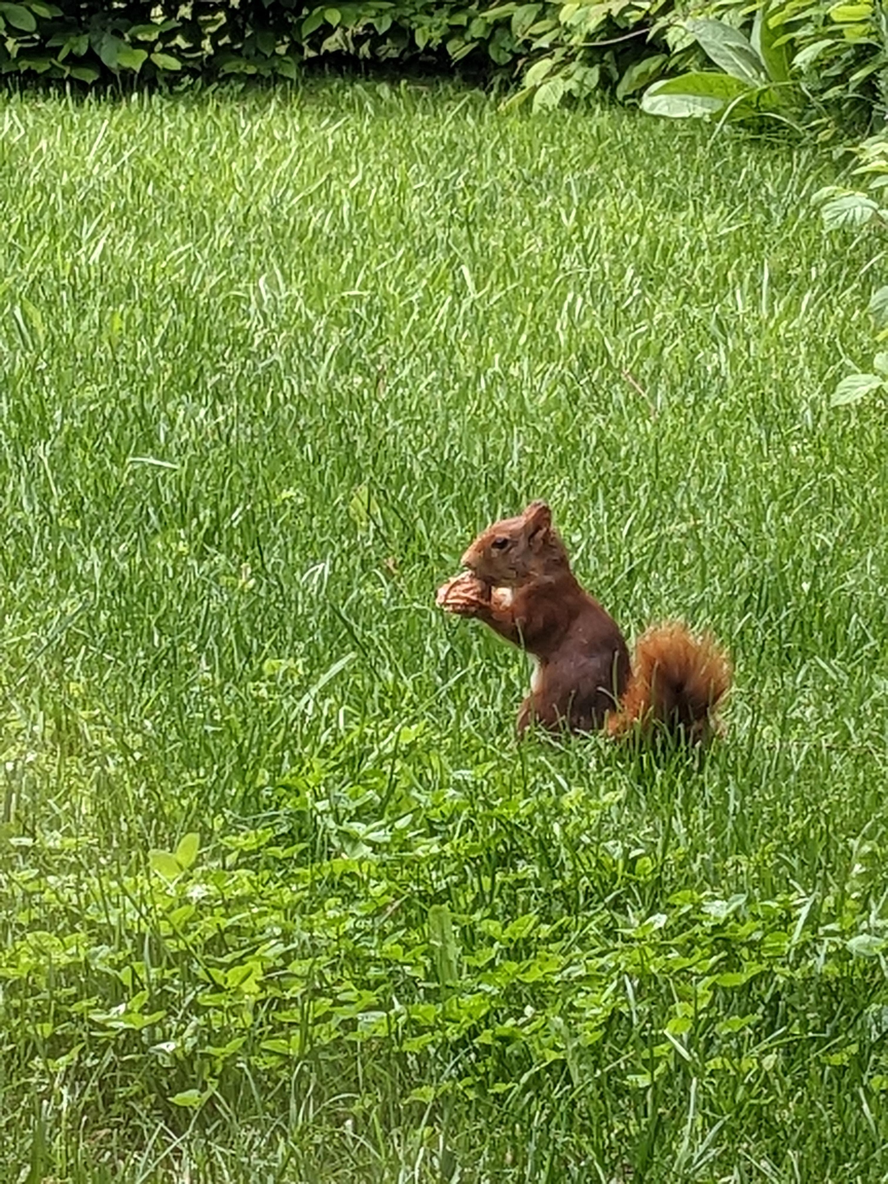 [OC] hunting | Scrolller