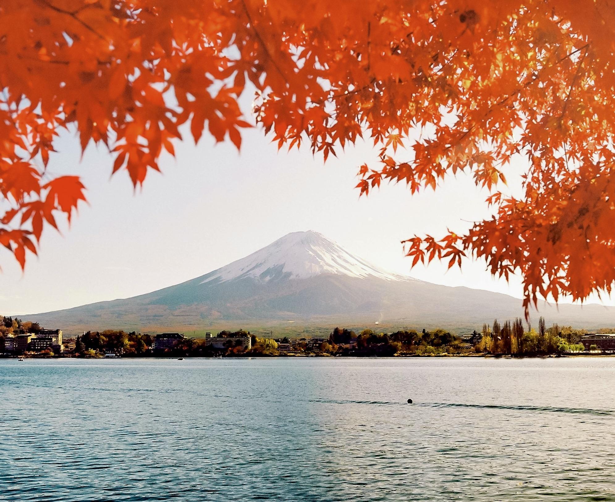Mt. Fuji + Momiji | Mamiya 7 | Kodak Portra 800 | Scrolller