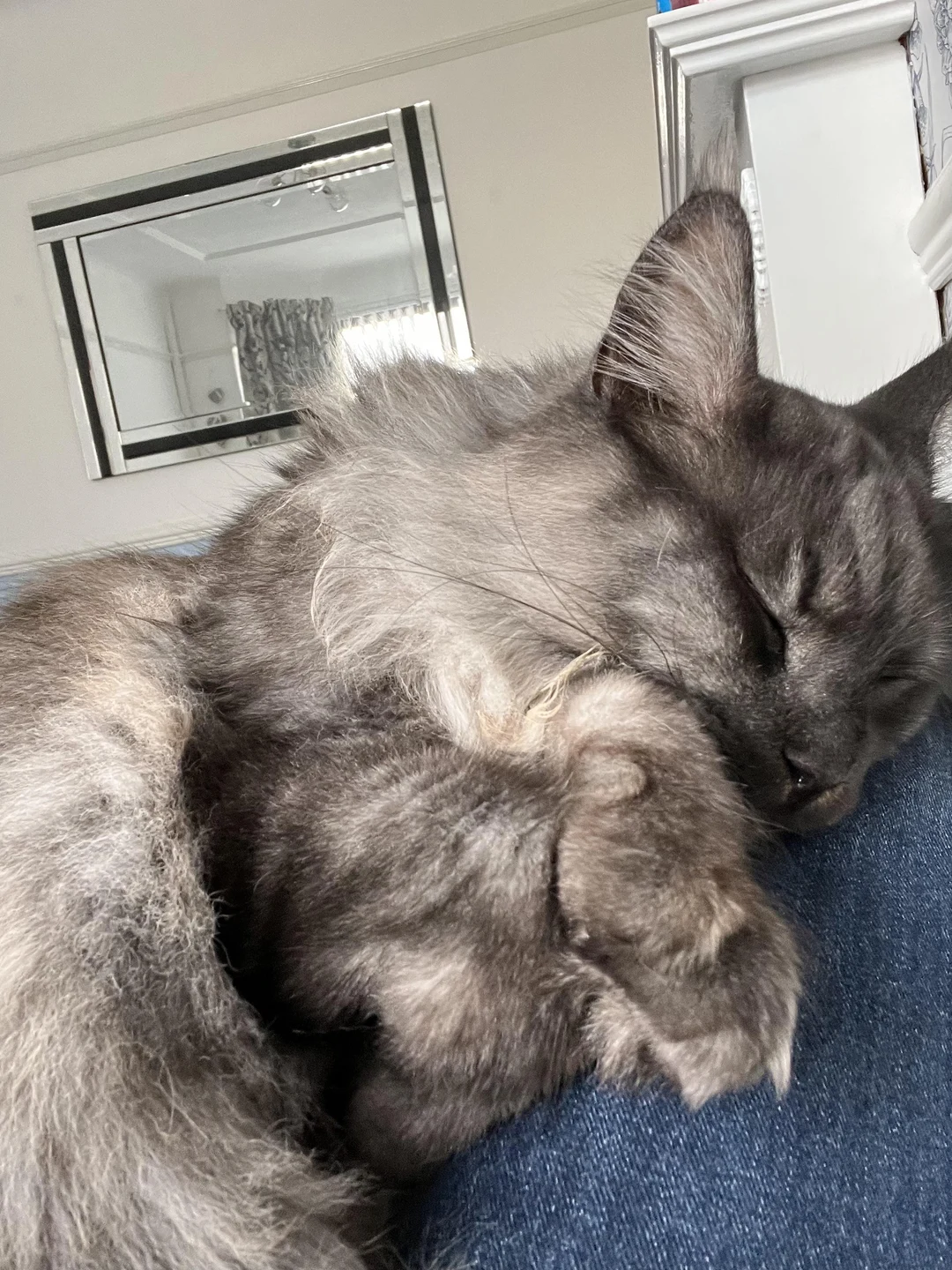 Birthday vibes. Mason is 2 today | Scrolller